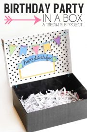 Birthday Party In A Box - Tried & True Creative