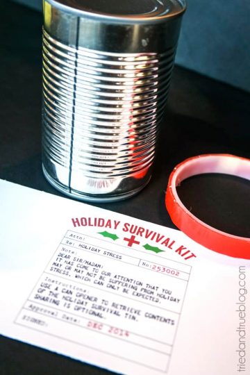 Holiday Survival Kit Easy Gift - Tried & True Creative