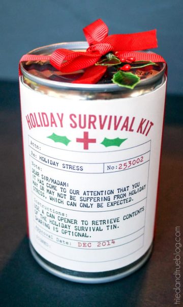 Holiday Survival Kit Easy Gift - Tried & True Creative