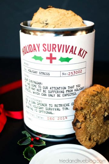 Holiday Survival Kit Easy Gift - Tried & True Creative