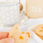 Healthy Apricot Shortbread Cookies - Tried & True Creative