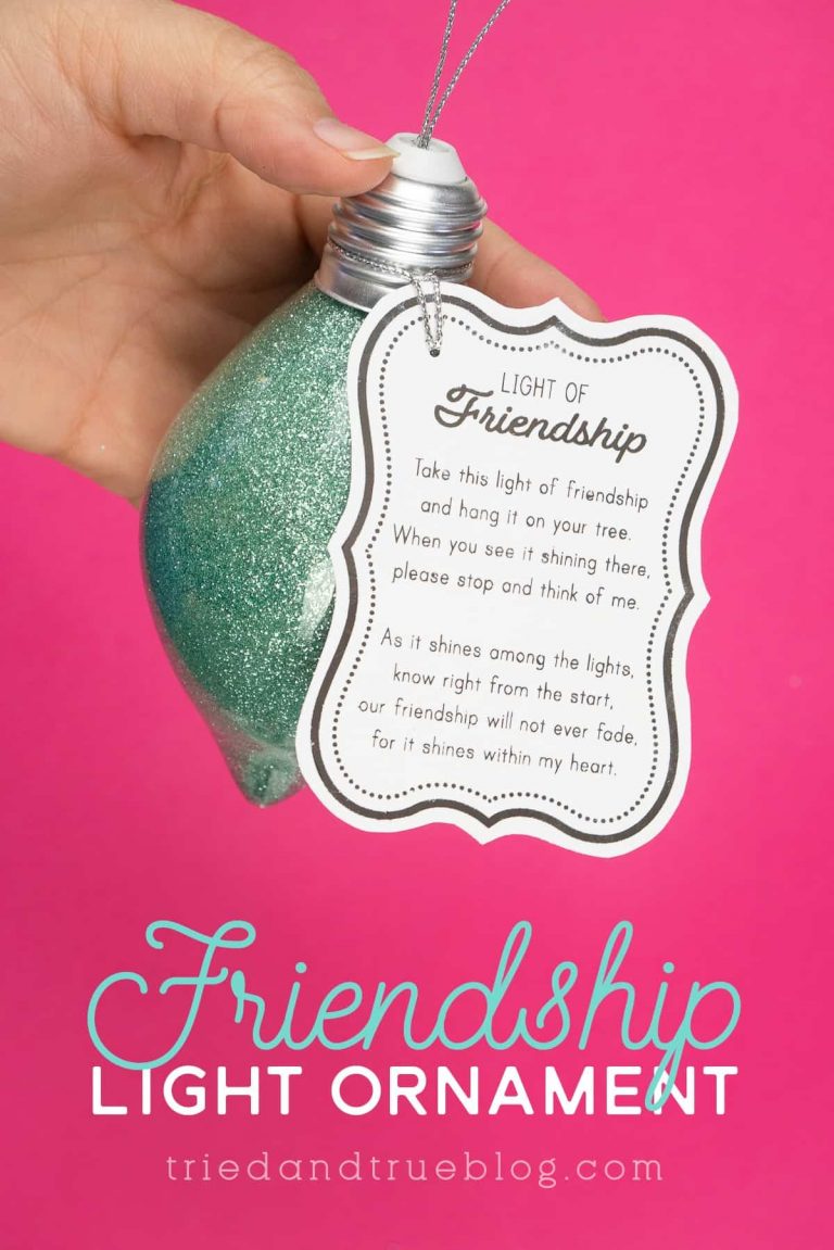 Friendship Light Ornament Free Printable Tags - Tried & True Creative